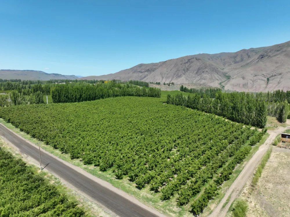 Listing #18230 - 511.91 acres in WA | Peoples Company