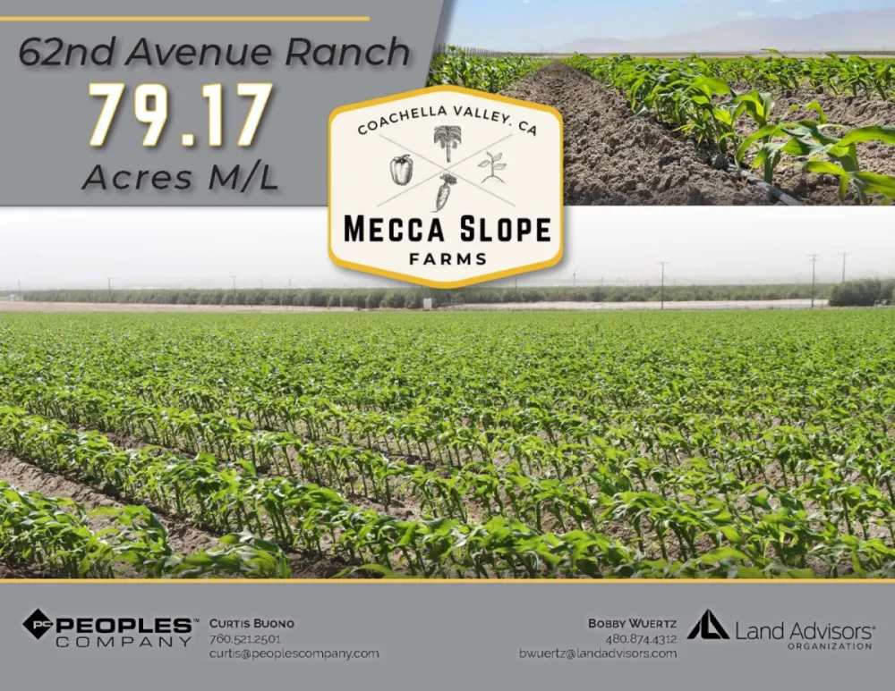 Listing #15877 - 79.17 acres in CA | Peoples Company